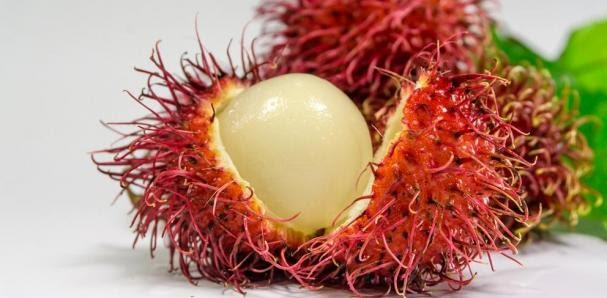 Propiedades y beneficios de la licha o rambután - Chapin Radios