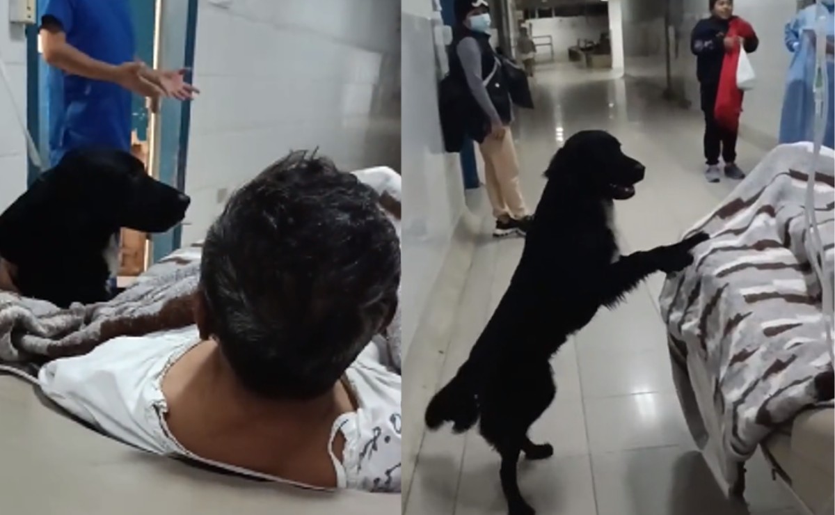 Hombre moribundo suplica que adopten a su perrito (VIDEO) - Chapin Radios